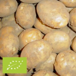 Agro Gajary – Slovenská bio zelenina